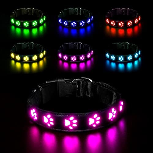 AUAUY Light Up Dog Collar, LED Dog Collar Light USB Rechargeable ...