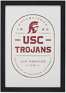 Amazon.com: University of Southern California Badge Framed Wood Wall ...