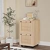 Amazon.com: VINGLI 2 Drawer File Cabinet with Lock, Rolling File ...