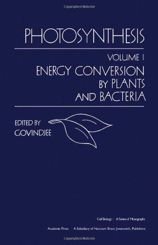 Amazon.com: Photosynthesis: Energy Conversion by Plants and Bacteria ...