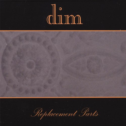 Amazon.com: Replacement Parts : Dim: Digital Music