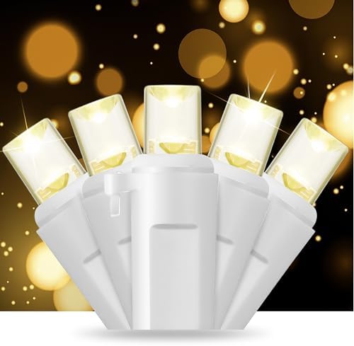 HappyAlley Slow Twinkle Christmas Light, 100 LED 35Ft Twinkle String ...