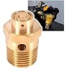 Amazon.com: ST-4 Safety Pop Off Valve - Pressure Relief Valve 250 PSI ...