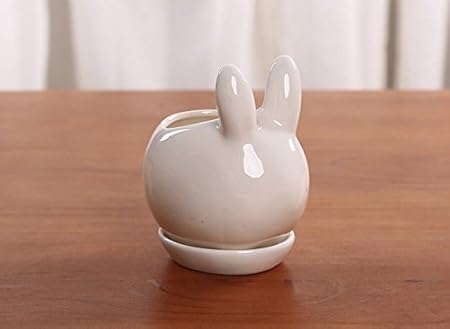 Amazon.com : SWONVI (TM) Decorative Bunny Rabbit Design White Mini ...