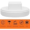 Amazon.com: 2Pack 4 Inch PVC Male Threaded Pipe End Cap 4" PVC Pipe ...