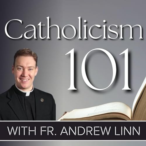 Amazon.com: Catholicism 101 : Fr. Andrew Linn: Books