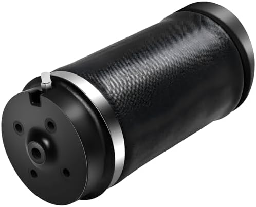 Amazon.com: FLOVENTIS Air Ride Suspension Spring Bag for Benz R320 R350 ...