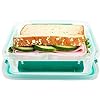 Amazon.com: Biosmart Sandwich Container: 1 Pack Reusable, BPA Free ...