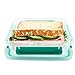 Amazon.com: Biosmart Sandwich Container: 1 Pack Reusable, BPA Free ...