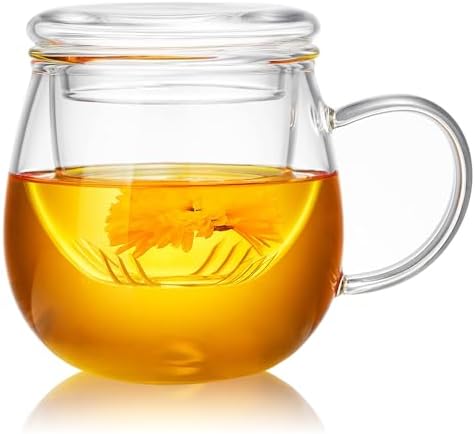 Unbreakable Glass Tea Cup with Infuser and Lid - 17oz Tea Mug for Loose ...