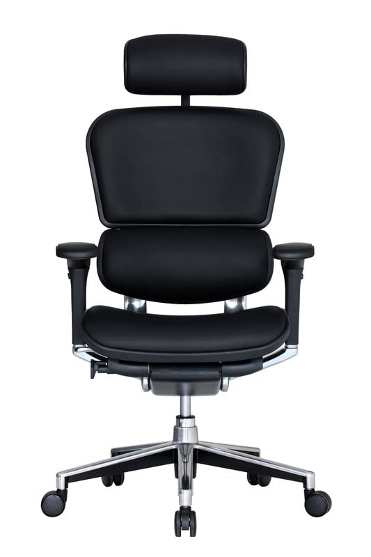 ErgoLab Ergohuman Office Chair, High Back Ergonomic Desk Chair ...