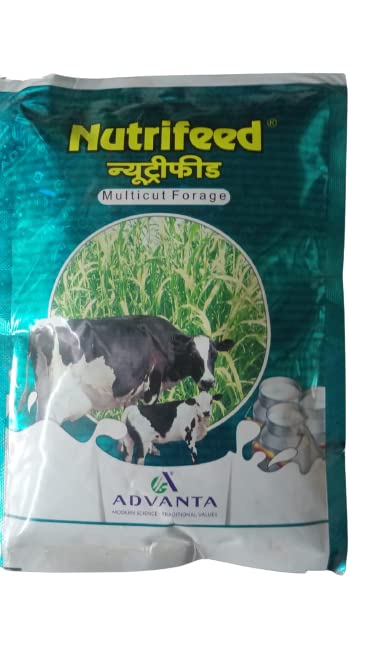 Nutrifeed 100g 2 Pack : Amazon.in: Health & Personal Care