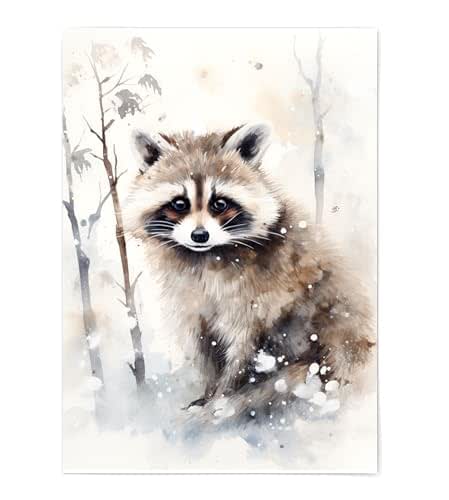 Amazon.com: Raccoon Wall Art Print - Raccoon Wall Decor - Raccoon Print ...