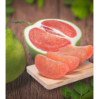 BLOOM & GROW Healthy Fruit Plant (Chakotra-Pomelo Live Fruit Plant ...