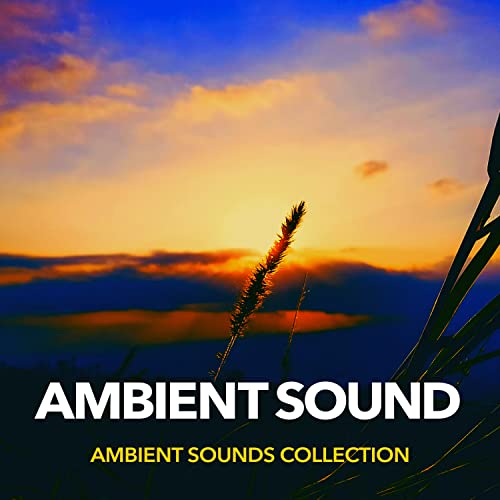 Amazon Music - Ambient Sounds CollectionのAmbient Sound - Amazon.co.jp