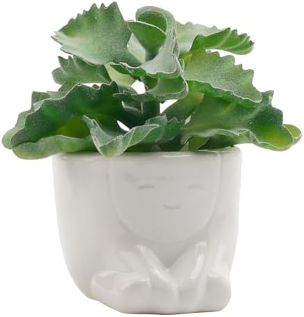 Amazon.com : Tiangrid Face Flower Planter 3.5 Inch Face Head Planter ...