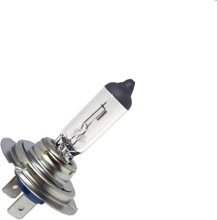 Amazon.com: Genuine OEM 18647-55007-L Bulb - Halogen / 1864755007L for ...