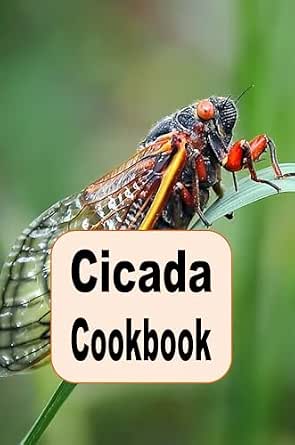 Amazon.com: Cicada Cookbook: Turn cicadas into delicious snacks, meals ...