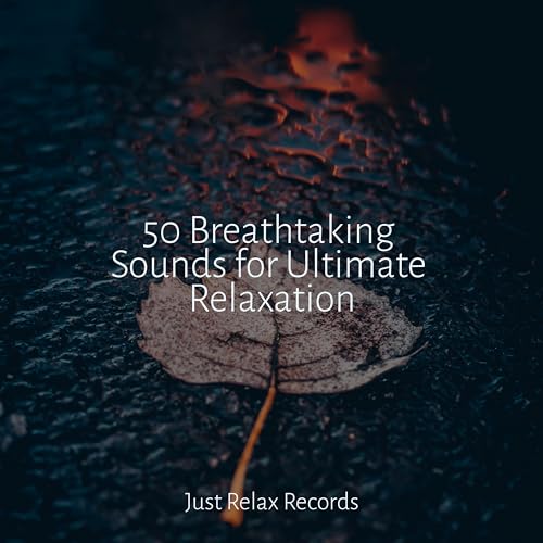 Amazon Music Unlimited - Guided Meditation, Chinese Relaxation and Meditation & Rockabye Lullaby ...