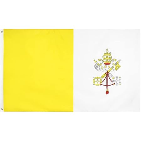 Amazon.com : 3x5FT Vatican Flag Italy Catholic Rome Pope Religion ...