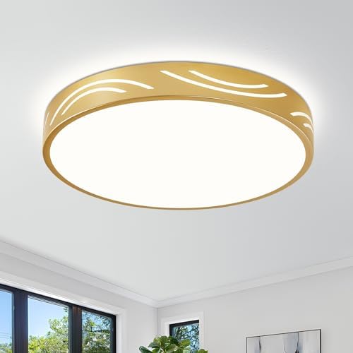 Peblto Gold LED Ceiling Light, Modern Flush Mount Ceiling Light Fixture ...