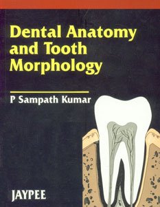 Dental Anatomy and Tooth Morphology: KUMAR, KUMAR, KUMAR: 9788180612299 ...
