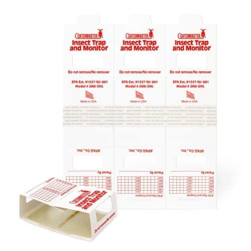 Buy Brown Recluse Spider Traps by Catchmaster - 30 Pre-Baited Glue ...