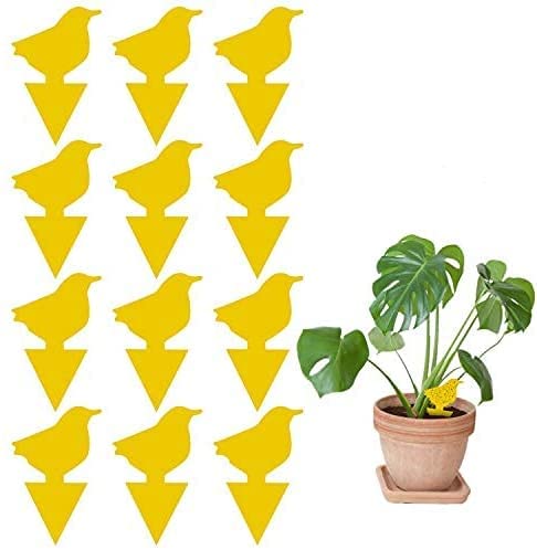 Fly Trap, Yellow Stickers, 50 Pieces, Plug-In Yellow Boards for Potted ...