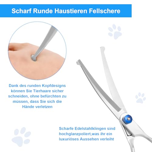 Gebogene Schere Hund Die 15 Besten Produkte Im Vergleich