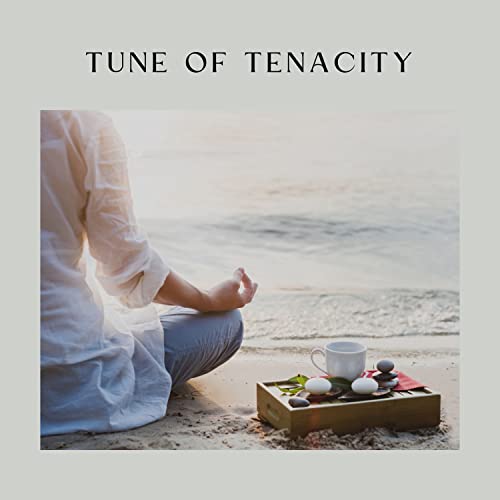 Tune of Tenacity von Background Sound Effects Meditation Spa, Thai ...