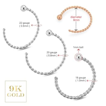 Dragebiter Nesepiercing