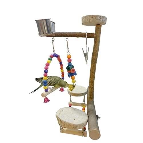 Amazon.com: Natural Wood Bird Perch Playground for Outside the Cage ...