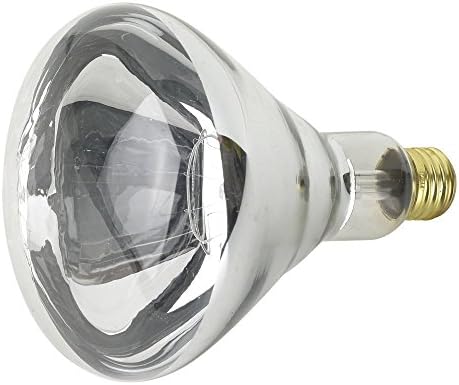 250R40/1 250-Watt, Incandescent R40 Reflector, Clear Head Lamp, Heat ...