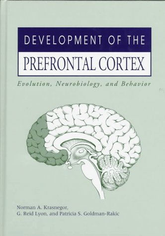 Amazon.com: Development of the Prefrontal Cortex: Evolution ...