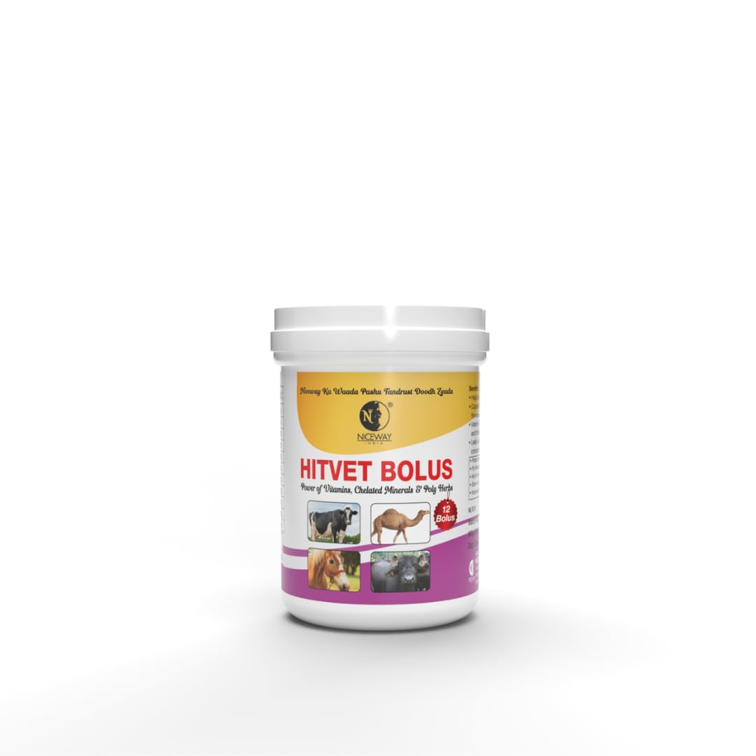 Niceway India Hitvet Bolus Animal Reproductive Bolus Veterinary ...