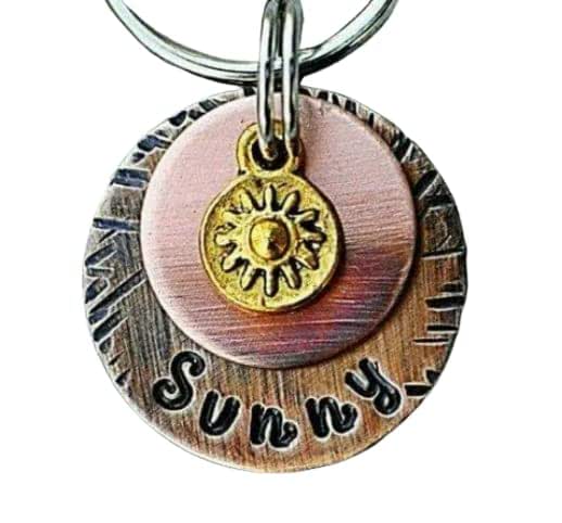 Amazon.com: Sun Dog Tag, Pet ID Tag, Sunny Pet Tag, Dog Tag, Dog Tags ...