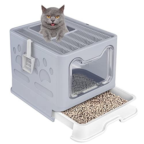 Litter Box Dog Proof – The 15 best products compared - Wild Explained