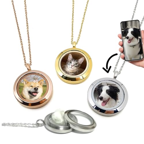 Amazon.com: Customized Pet Fur Locket Urn Necklace for Dog Ashes ...