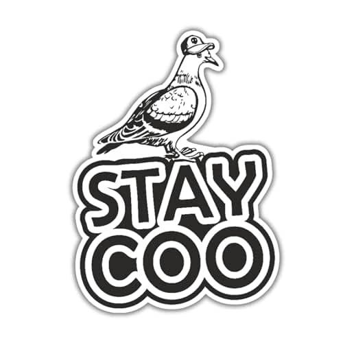 Amazon.com: Stay Coo, Funny Bird Sticker, Pigeon Sticker, Bird Watching ...