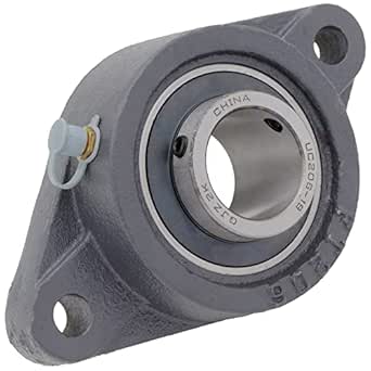 [1-Pack] UCFT206-19 2-Bolt Flange-Mount Ball Bearing Unit, Insert Bearing UC206-19, Cast Iron ...