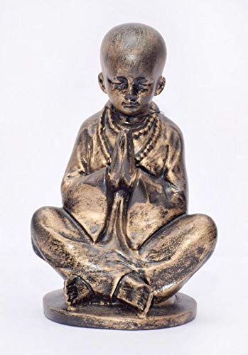 Monk : Amazon.in: Home & Kitchen