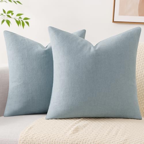 Amazon.com: Anna's Whimsy Light Blue Pillow Covers 20x20 in Accent ...