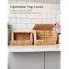 Amazon.com - StorageWorks Hanging Kitchen Basket, Counter Organizer ...