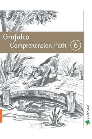 Grafalco English Comprehension - 6 : Amazon.in: Books