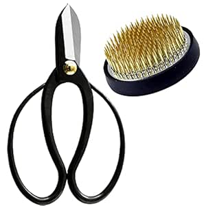 Wazakura Made in Japan Ikebana Tool Kit - Koryu Scissors + Brass Kenzan Flower Holder, Japanese ...