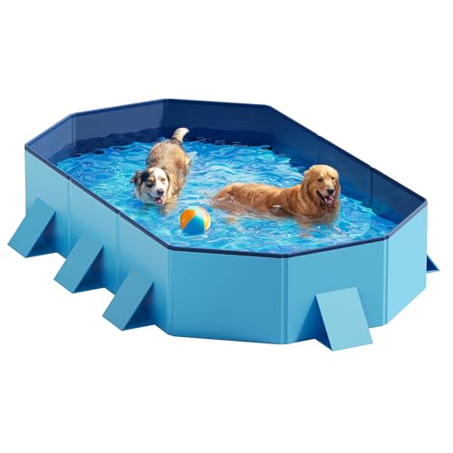 Find The Best Inflatable Pool For Dogs Reviews & Comparison - Katynel