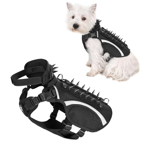 Spike Vest for Dogs – The 15 best products compared - Wild Explained