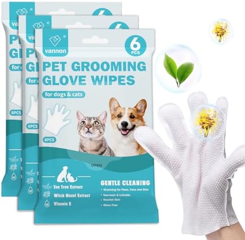 Debbie Pakzaban Art's Amazon Page