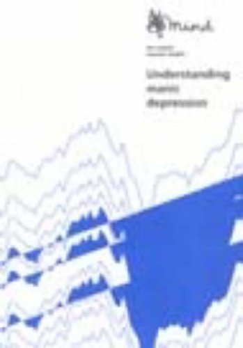 Amazon | Understanding Manic Depression (Understanding S.) | Flory ...