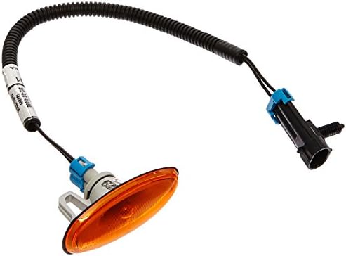 Amazon.com: Genuine GM 15793901 Fender Clearance Lamp, Rear : Automotive